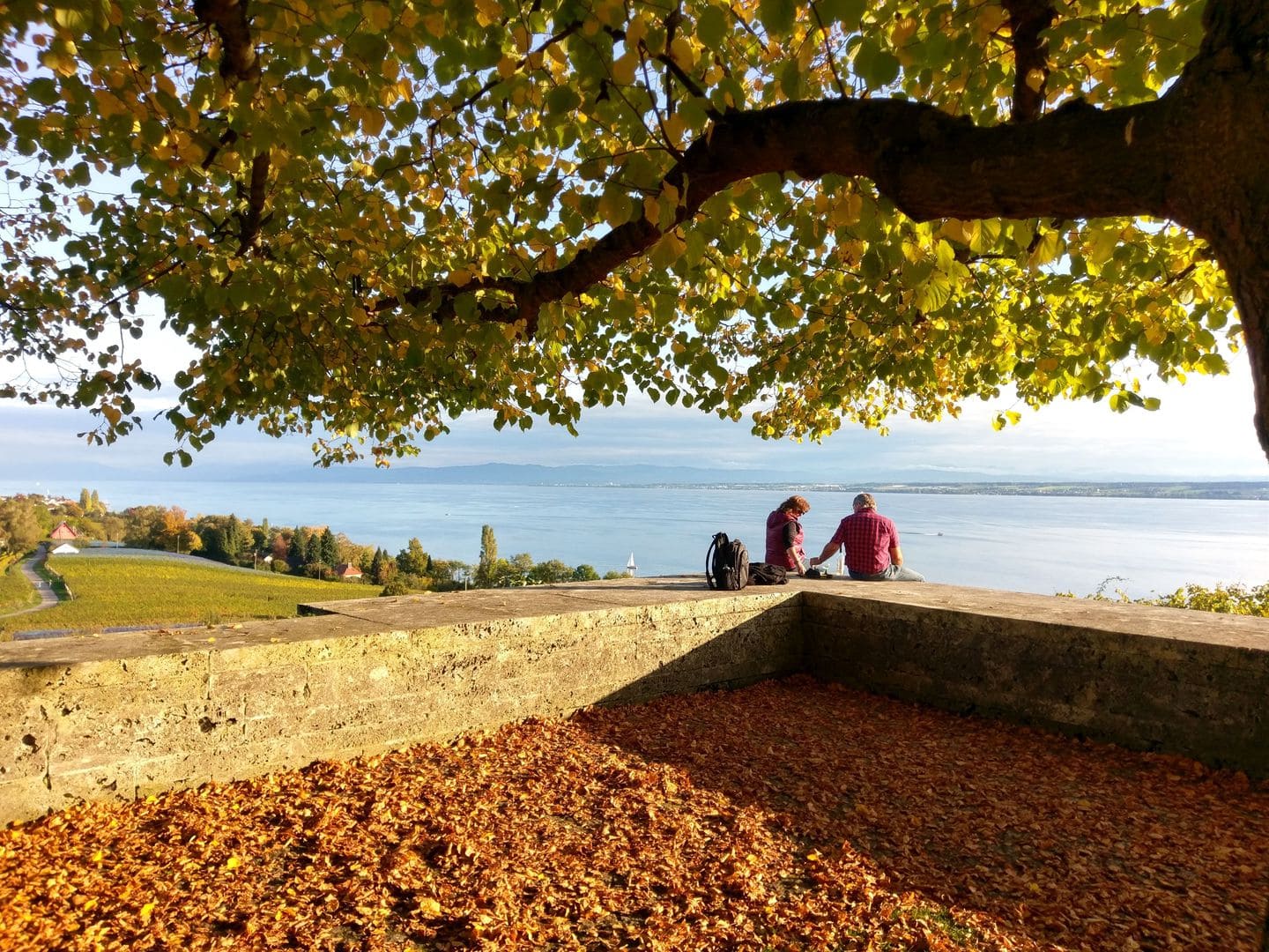 Ferienwohnung am Bodensee: Buchen leicht gemacht - Thiemer